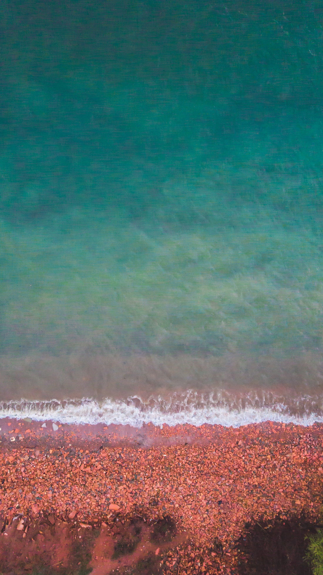 Home – Mindful Mob Wellness and Coaching